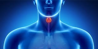 Endocrinology - Maidstone and Tunbridge Wells NHS Trust